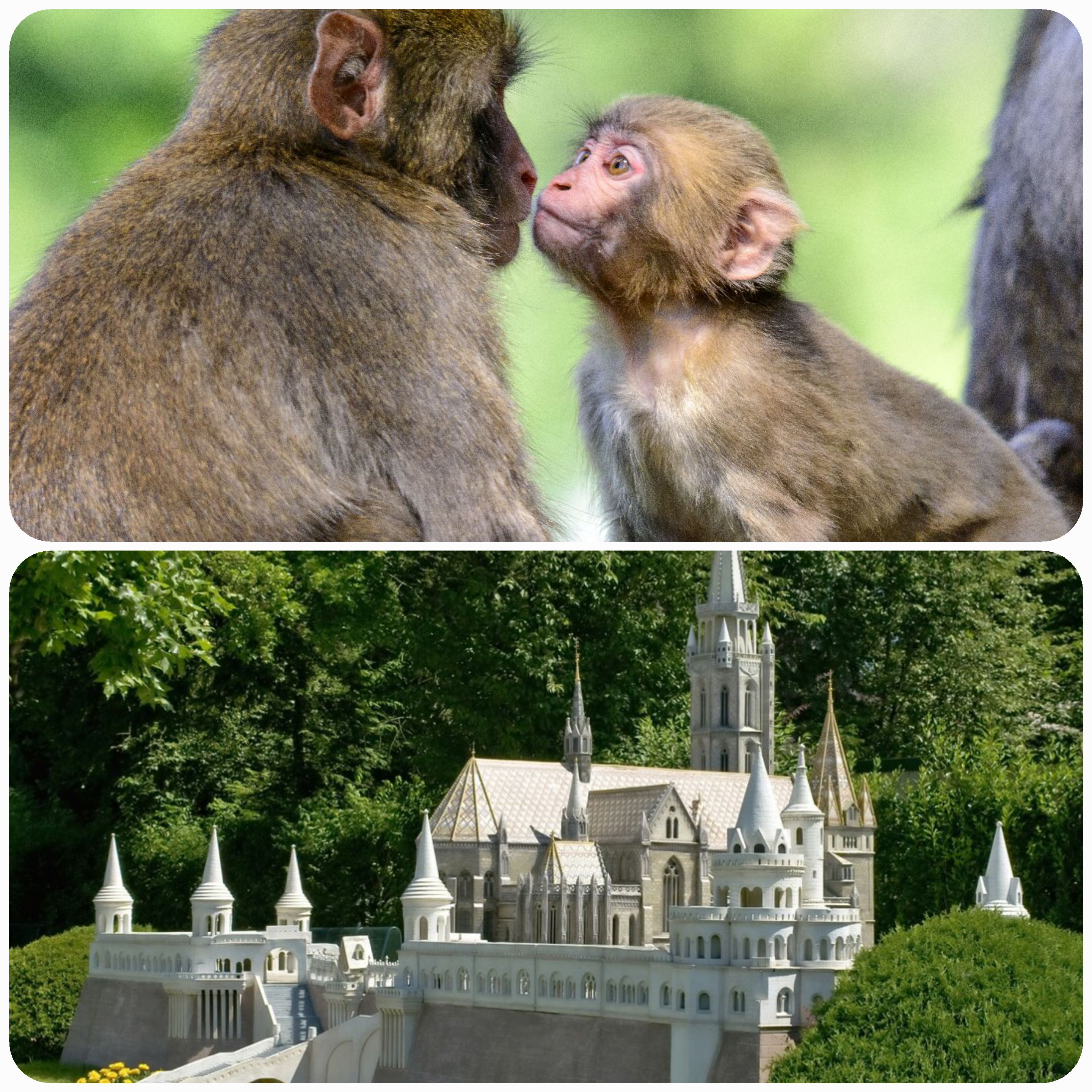 BROD TOURS - PLANINA MAJMUNA I MINIMUNDUS, 28.09.